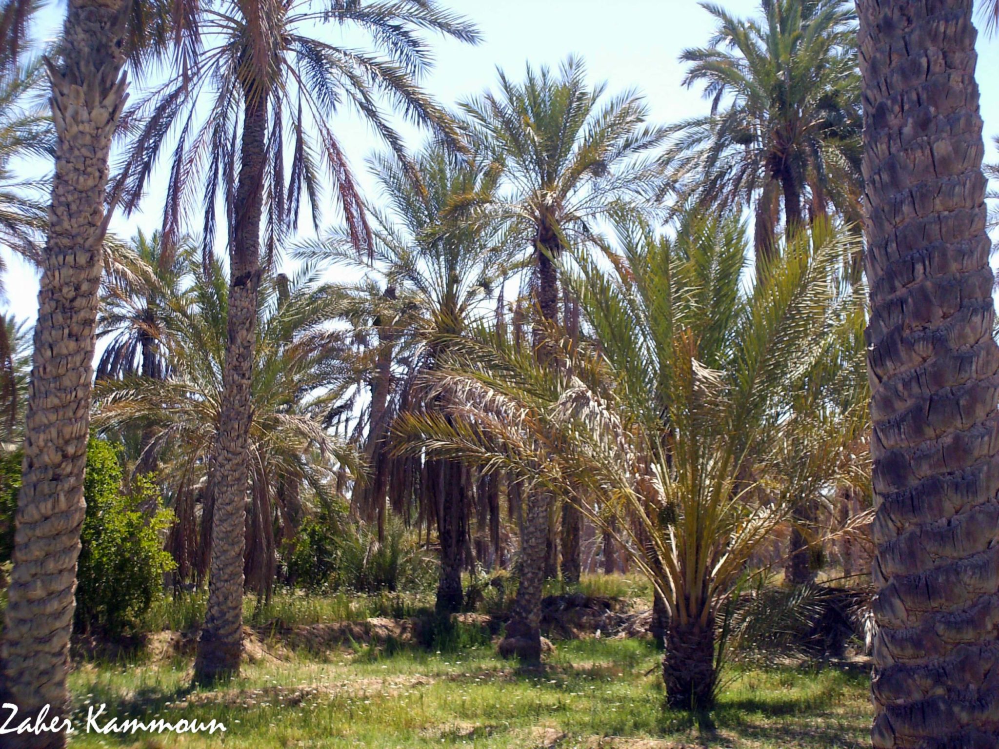 Kébili : Session de formation pour les inspecteurs du tourisme ...